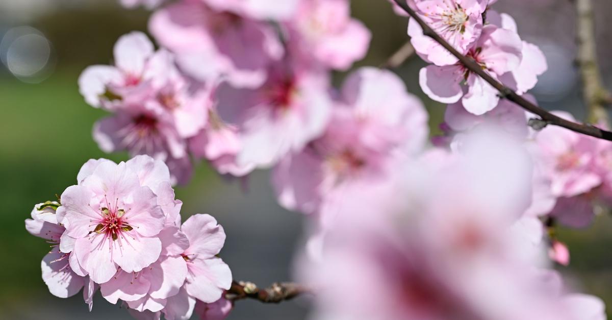 Wormel: Das Aprilwetter macht das Leben schwer